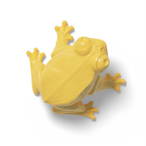 Frog Chess – Binary Cocoa, LLC